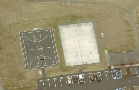 Pickleball at Crossan Park | Bounce