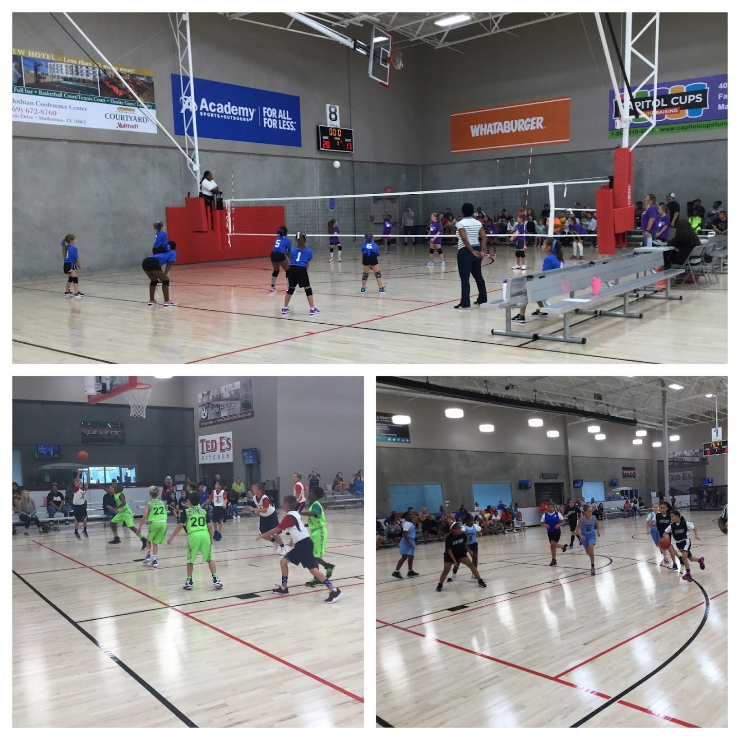 Pickleball at Fieldhouse USA Mansfield | Bounce