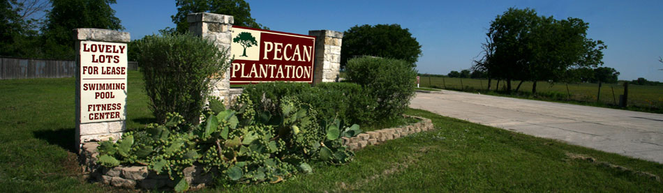 Pickleball at Pecan Plantation | Bounce