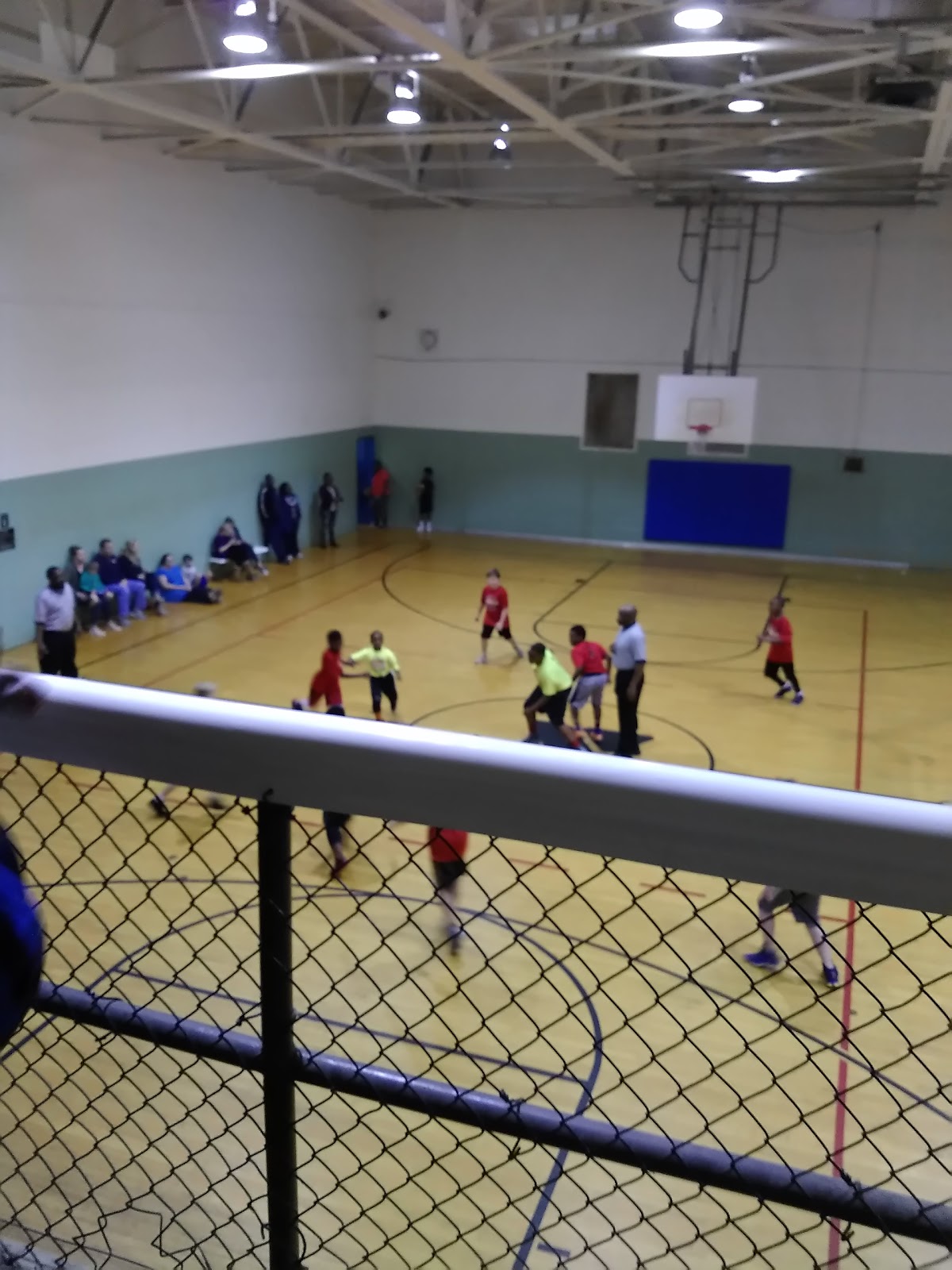 Pickleball at Albany Area YMCA | Bounce