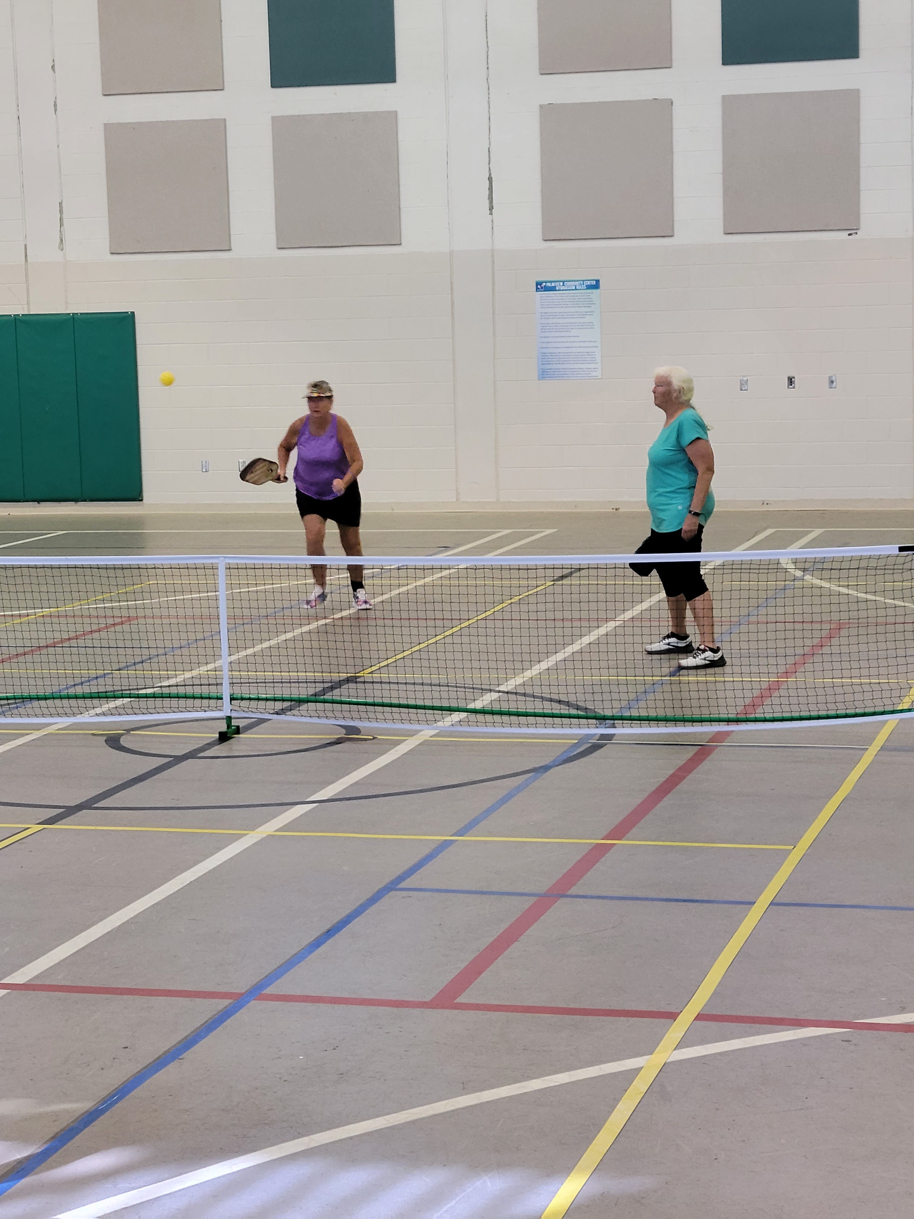 Pickleball at Palm View Community Center | Bounce