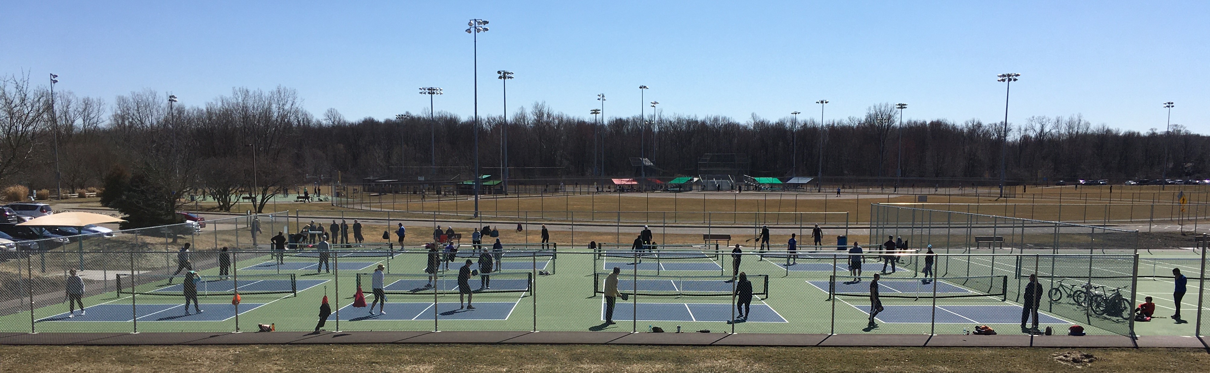 Pickleball at Borden Park | Bounce