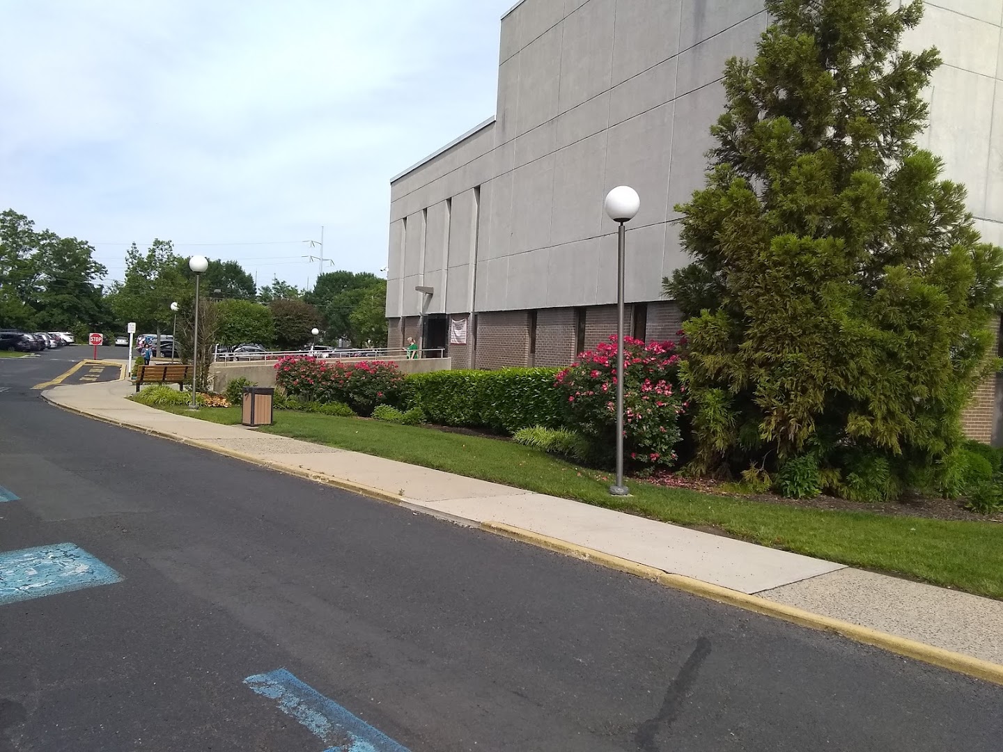 Pickleball at Community YMCA | Bounce