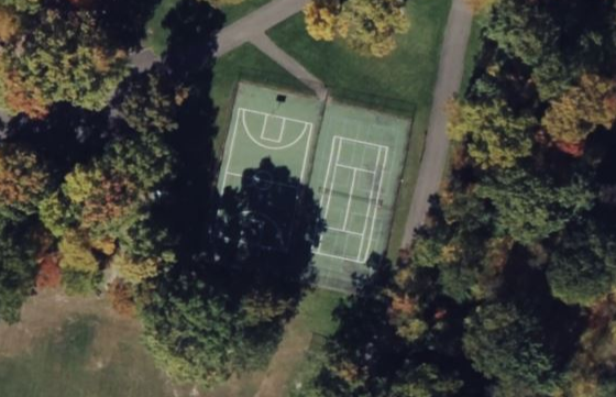 Pickleball at Morrison Park | Bounce