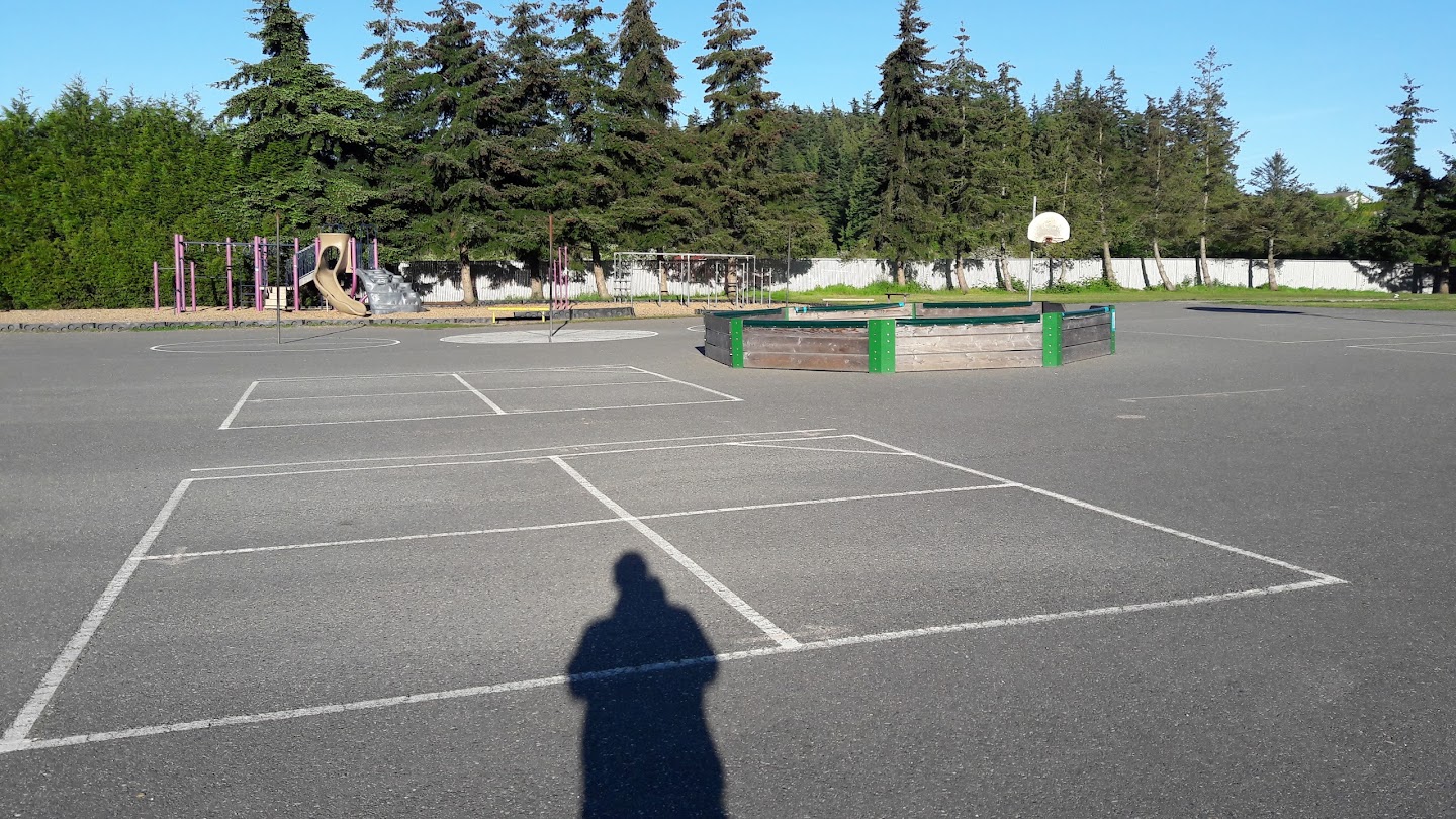 Mount Erie Elementary (Pickleball) | Bounce